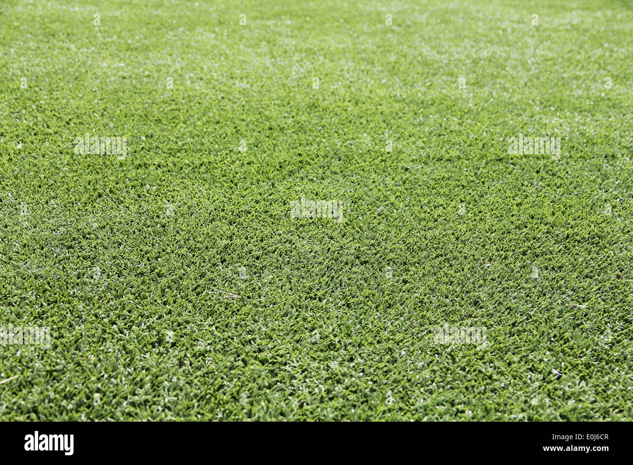 Green fresh cut grass background close up photo Stock Photo - Alamy