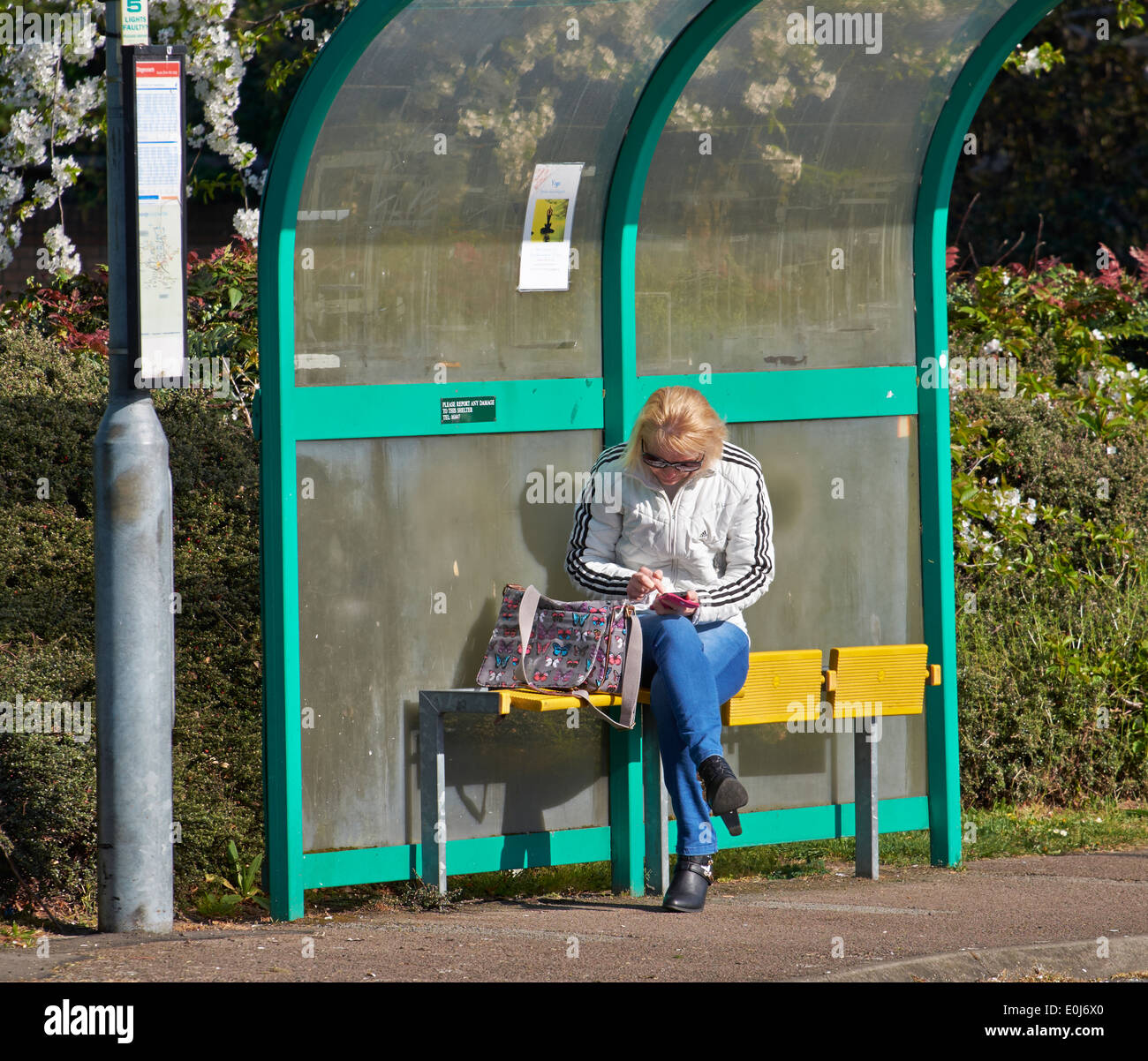 Lady using mobile phone while waiting for bus at bus stop Milton ...