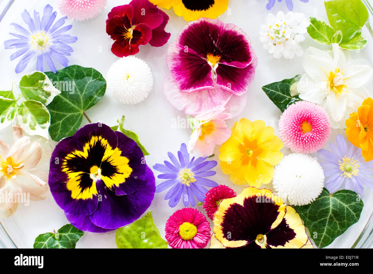 Picked flowers hi-res stock photography and images - Alamy
