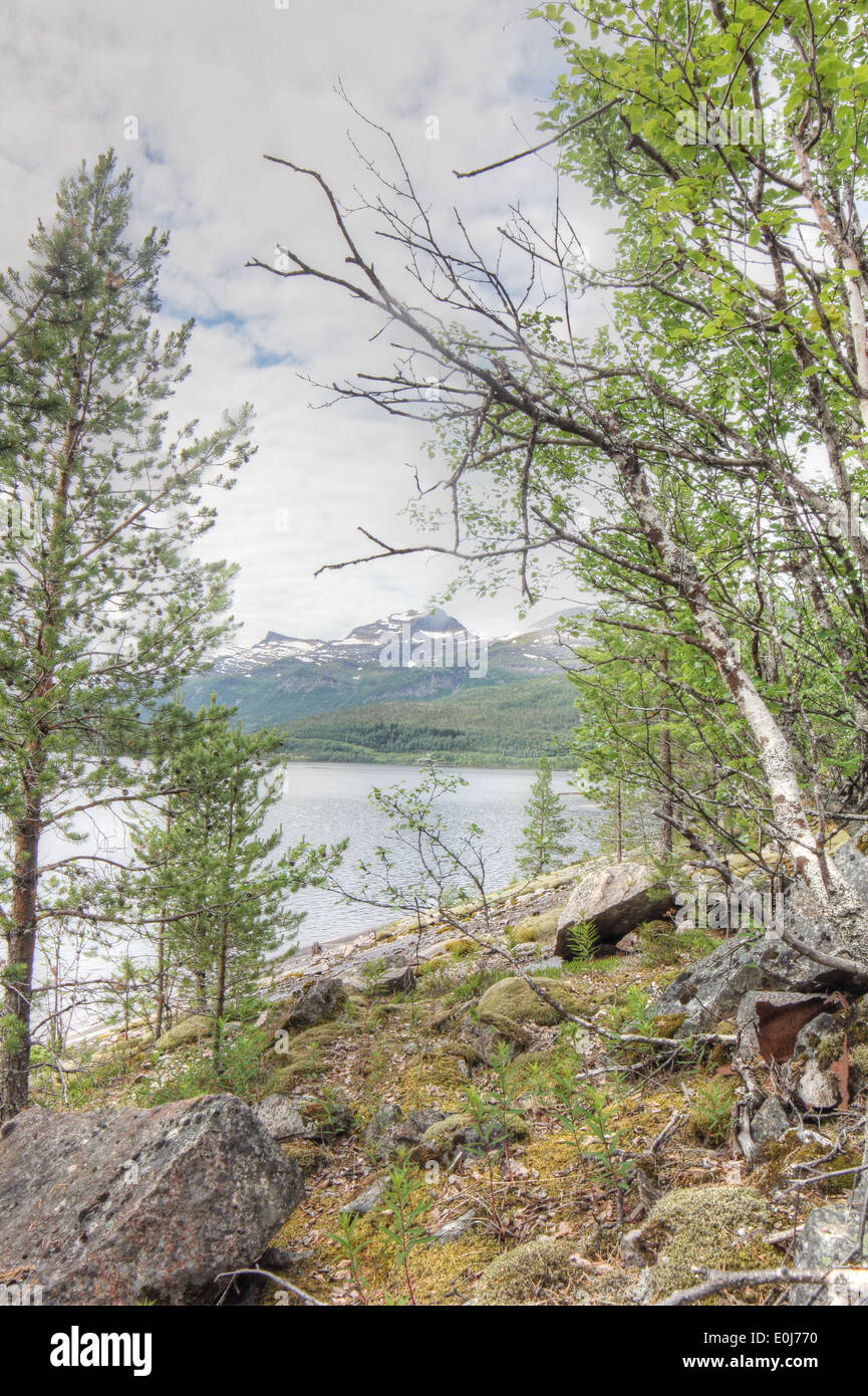 Northern Norway landscape with fjord, mountains and forest Stock Photo ...