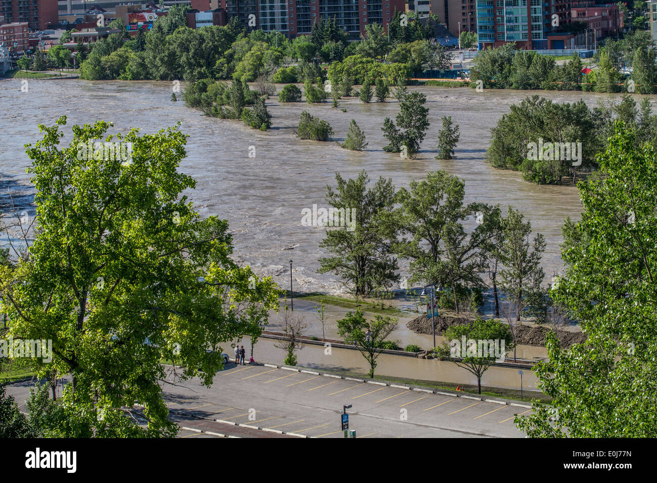 Calgary June 2013 Flood, showing Bow River overflowing its banks, near ...