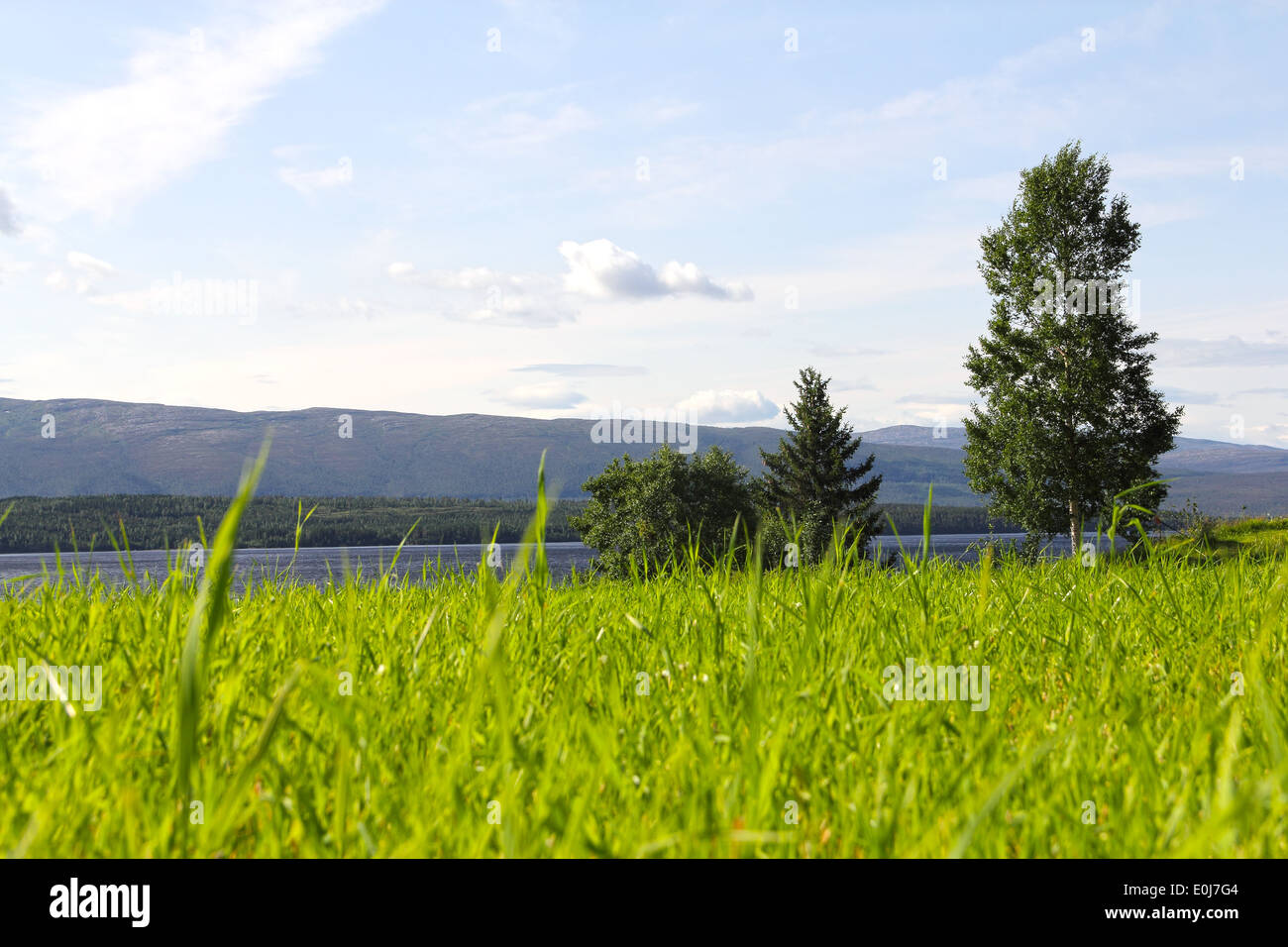 Beautiful landscape of Norway with grass field anf fjord Stock Photo ...