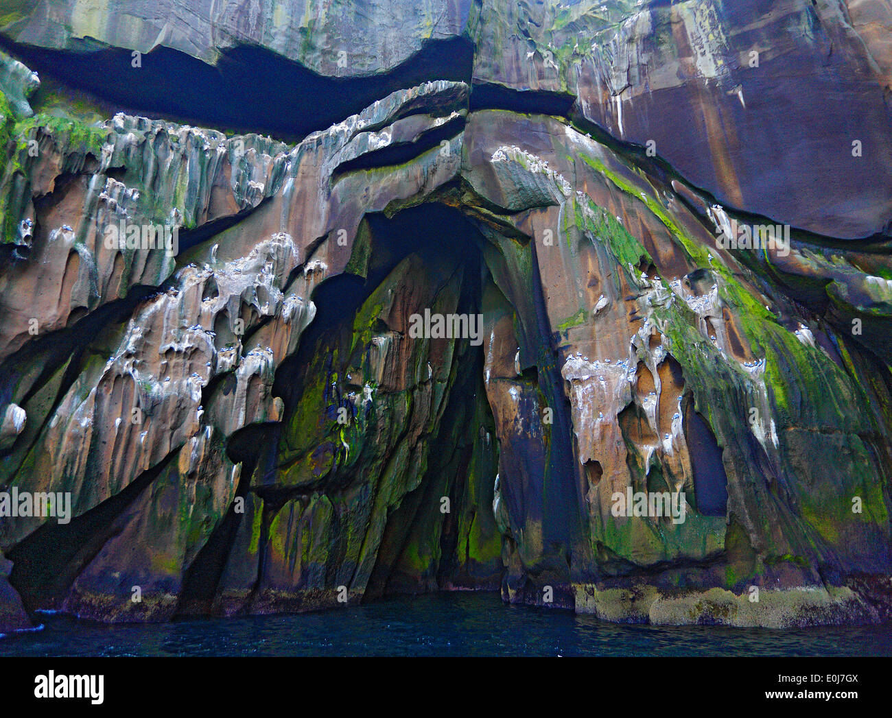 Breeding nests hi-res stock photography and images - Alamy