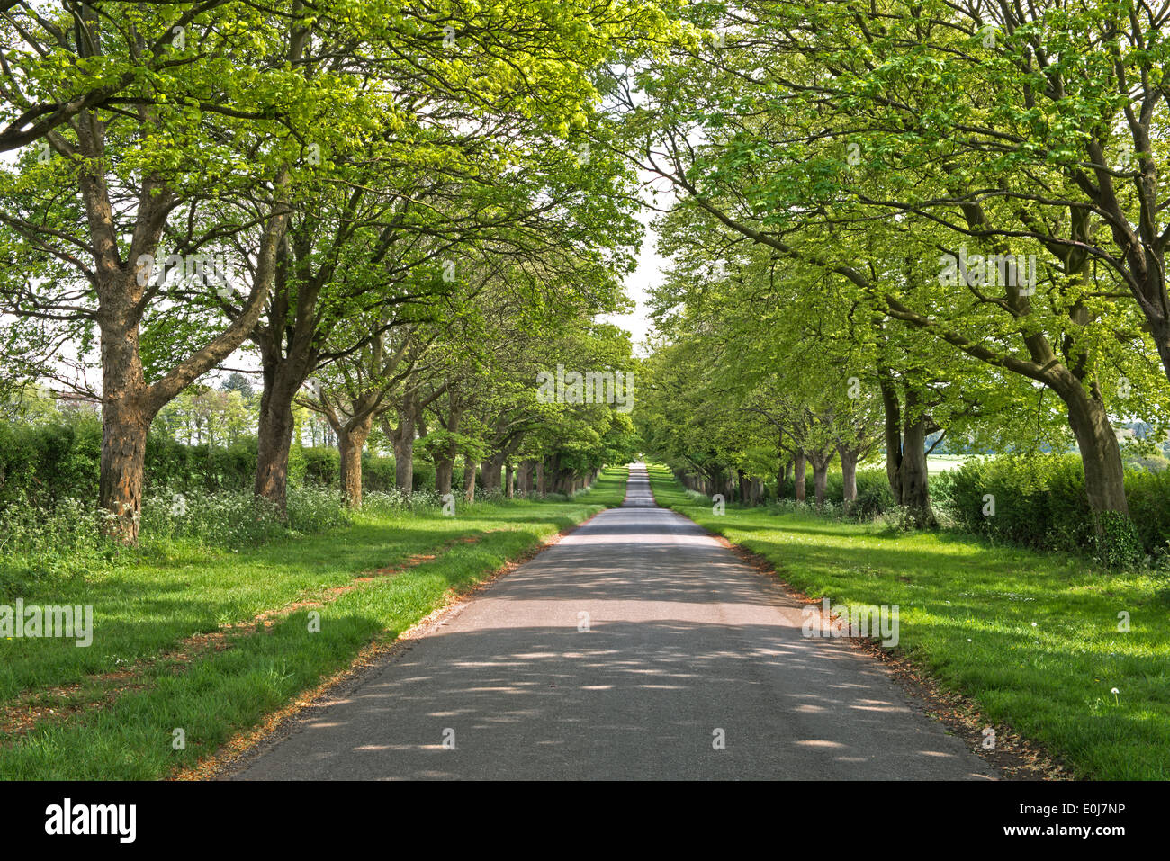 Sandringham estate hi-res stock photography and images - Alamy