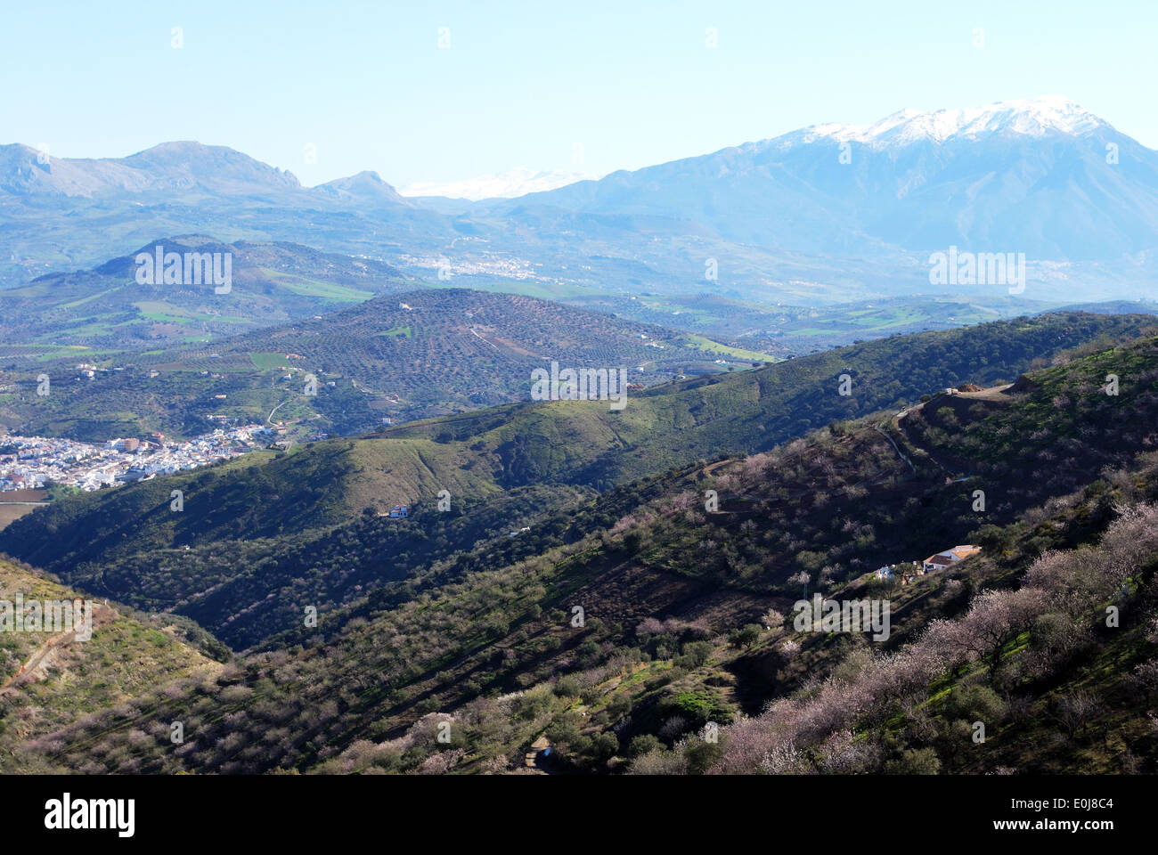 Views across the countryside towards the Sierra de Almijara, Colmenar ...