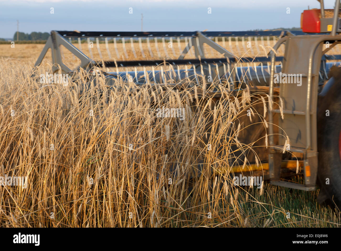 Industry agriculture grain harvesting wheat hi-res stock photography ...