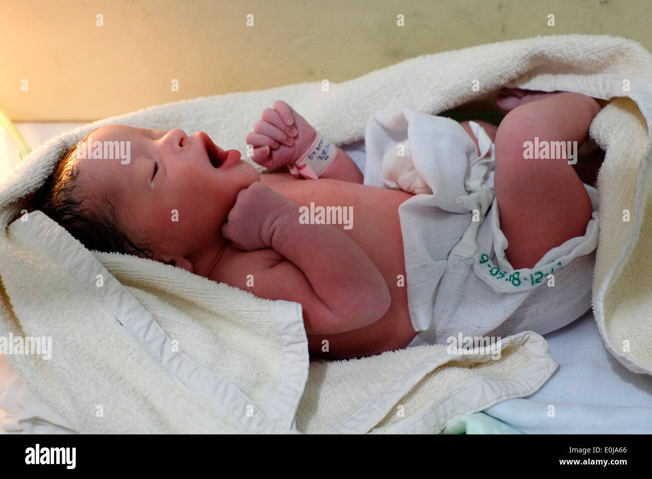 newborn baby a few minutes old in a hospital incubator in malang east ...