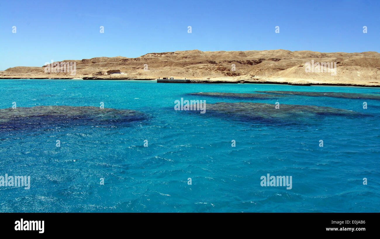 red sea reef Stock Photo - Alamy