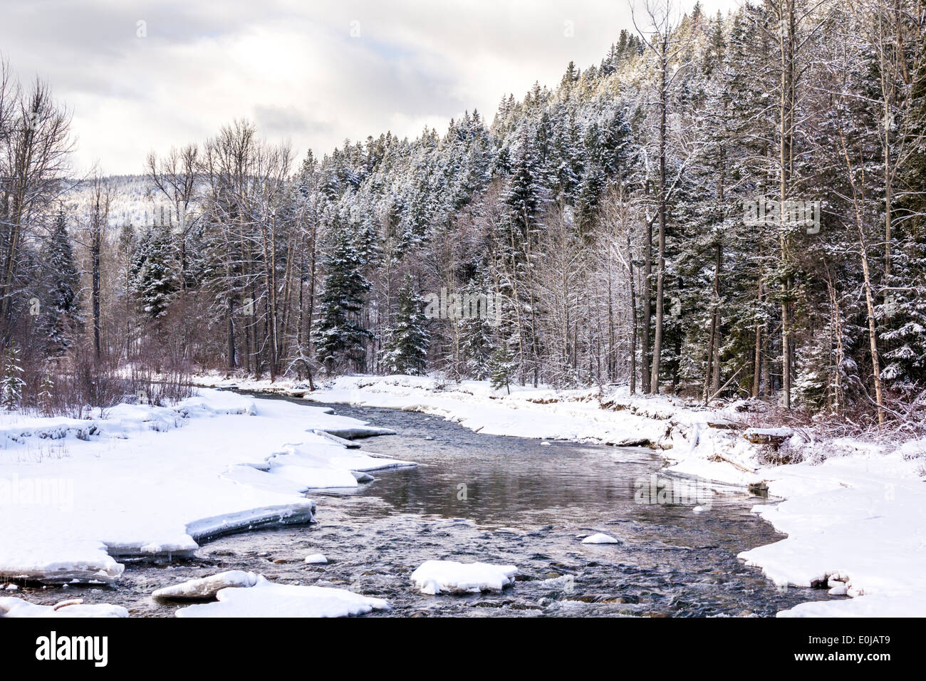 View of a Creek and Snow Covered Trees in Winter Stock Photo - Alamy