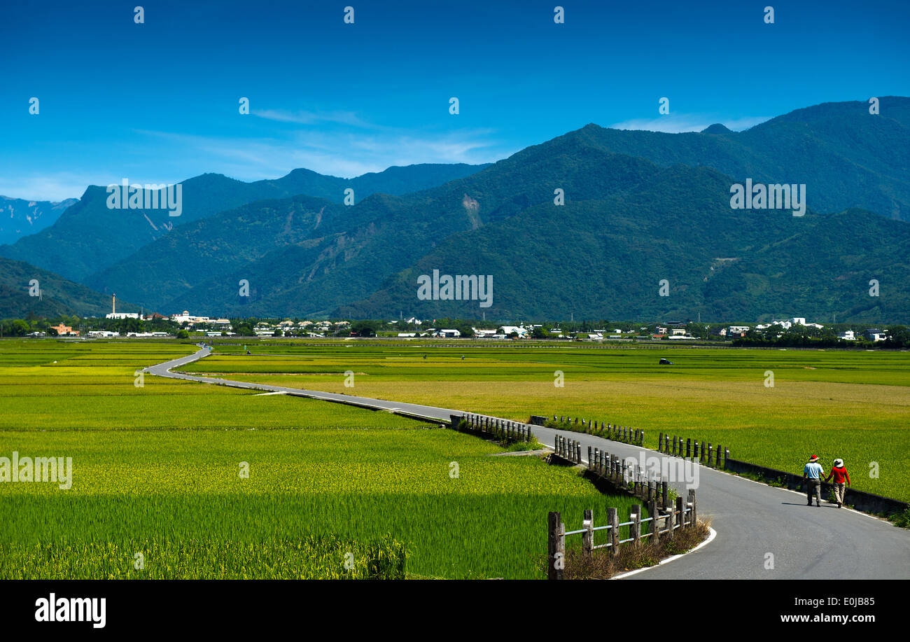 Rice field taiwan hi-res stock photography and images - Alamy