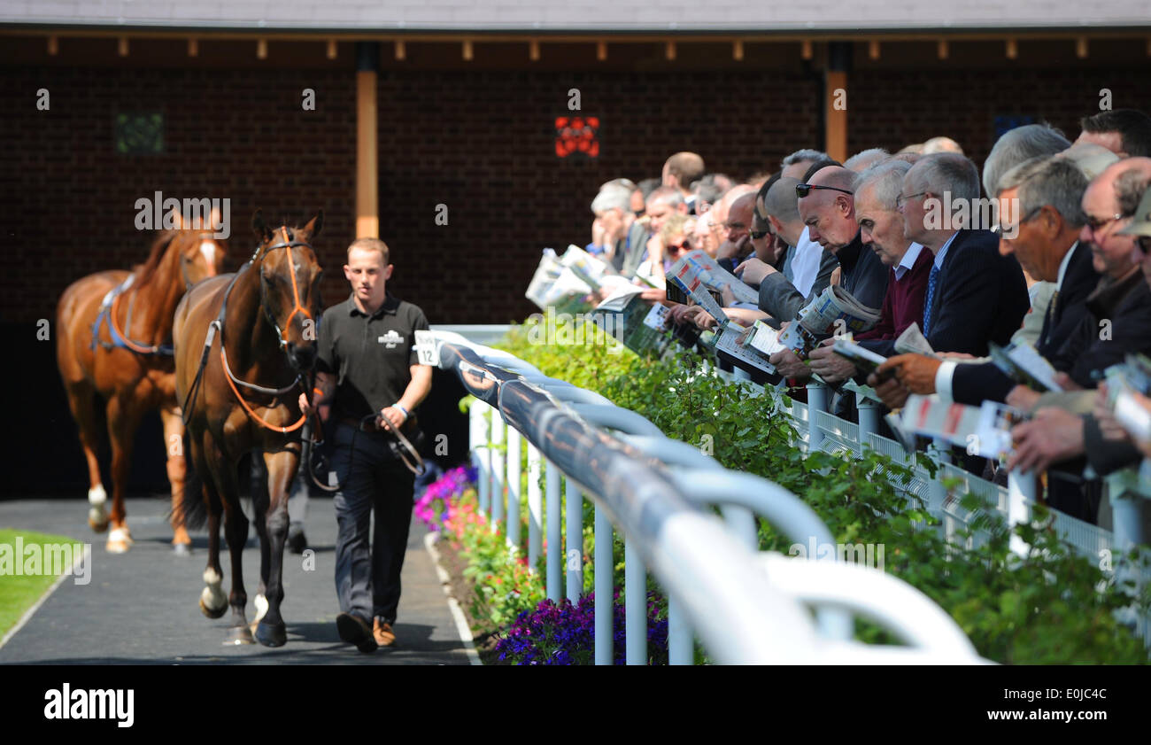 PRE PARADE RING DANTE FESTIVAL YORK RACECOURS YORK RACECOURSE YORK ...