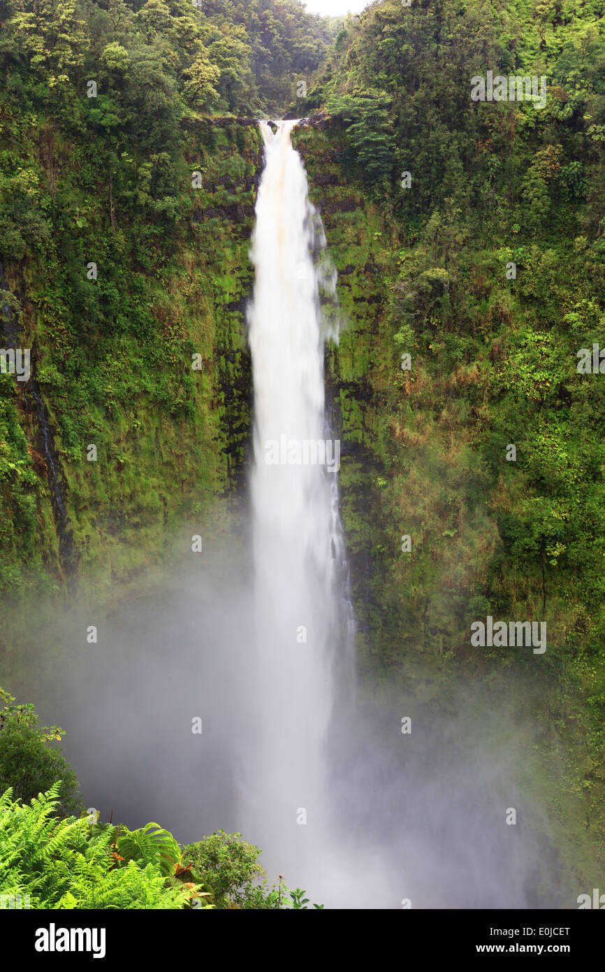 Akaka Falls at the Akaka Falls State Park on the Big Island, Hawaii ...