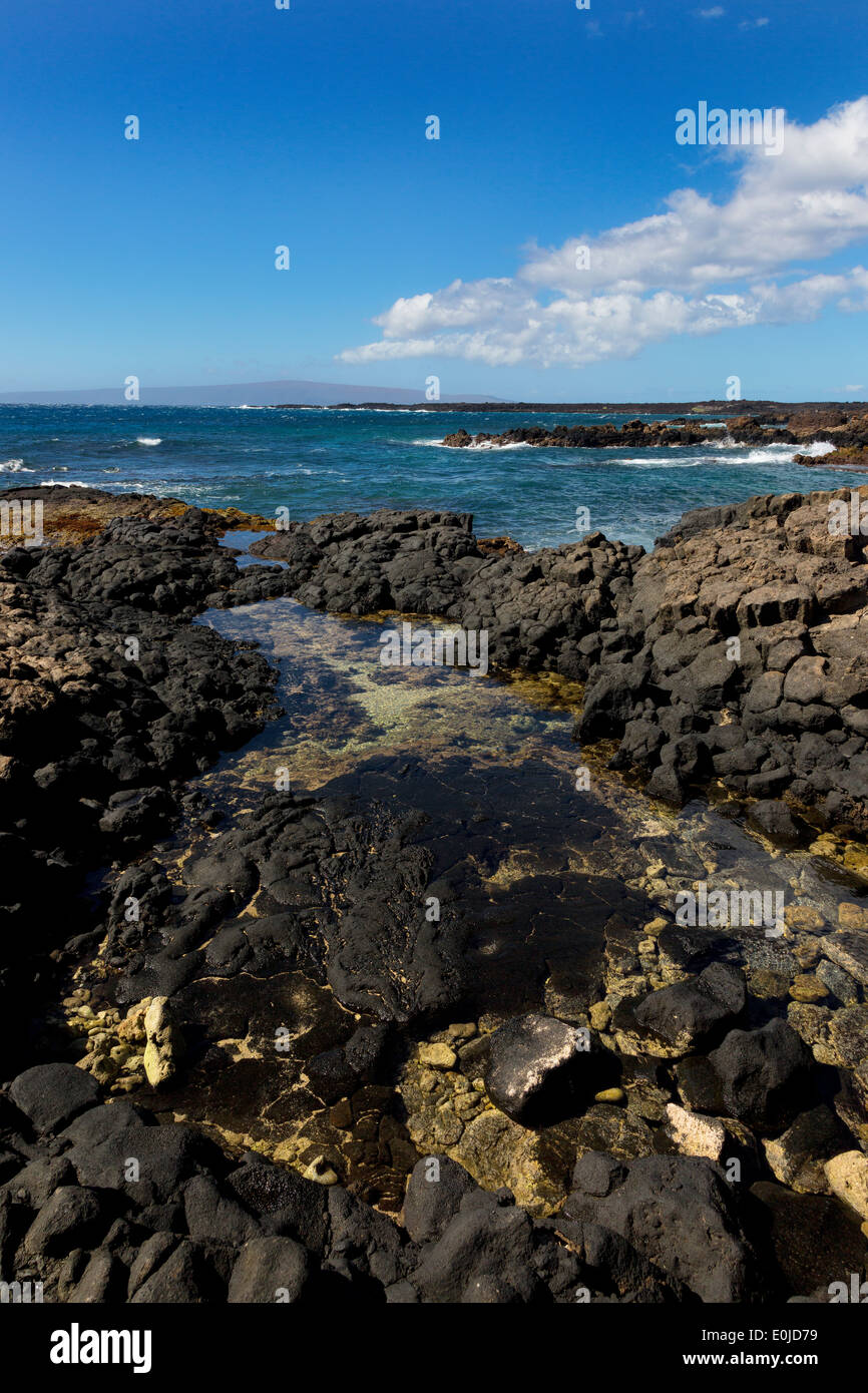 Hawaii lava rock tidal pool hi-res stock photography and images - Alamy