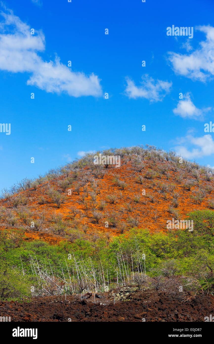 Red soil tropical hi-res stock photography and images - Alamy
