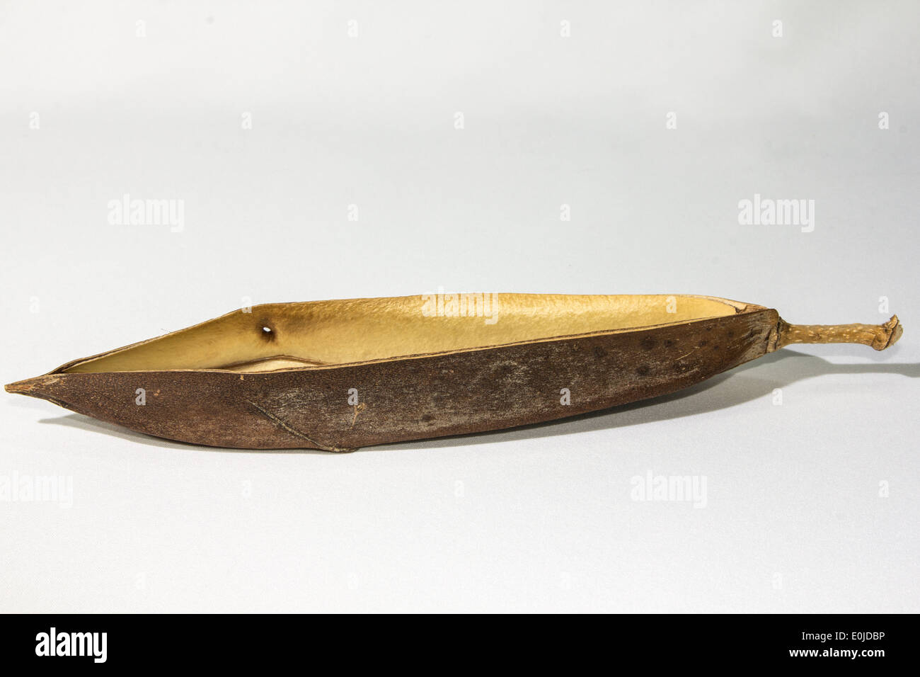 Fire bell hi-res stock photography and images - Alamy