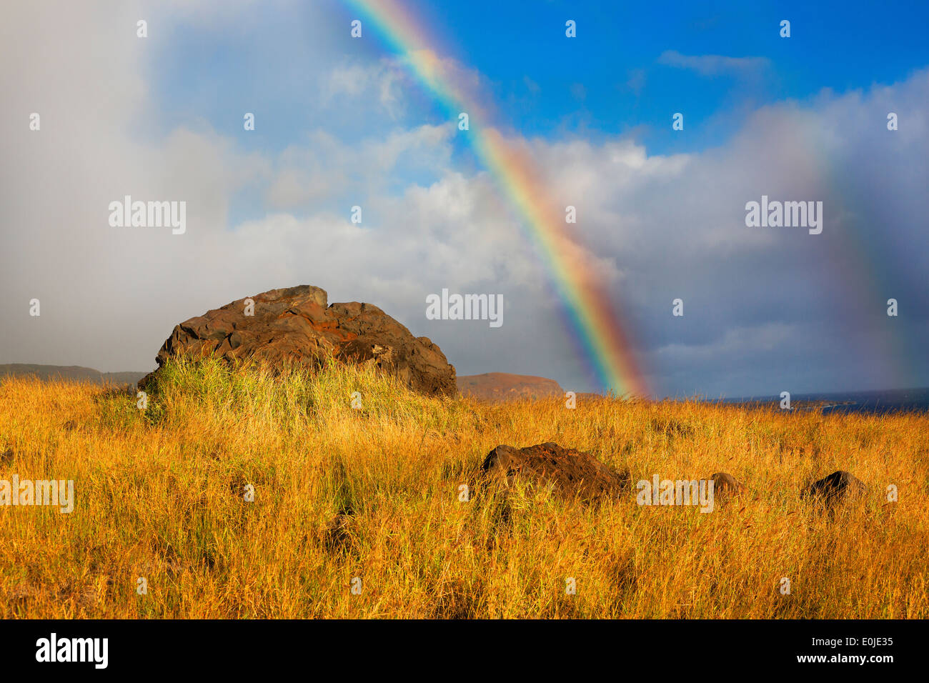 Hawaii rainbow over golden field Maui, Hawaii Stock Photo - Alamy