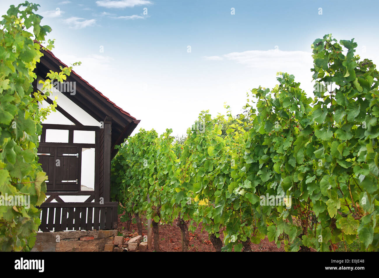 Little hut in a vineyard Stock Photo - Alamy
