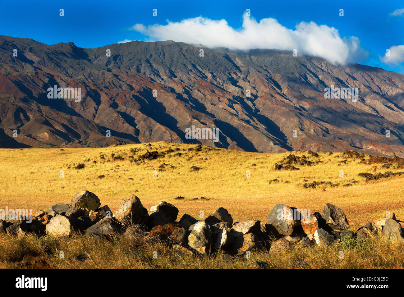 Field of boulders hi-res stock photography and images - Alamy