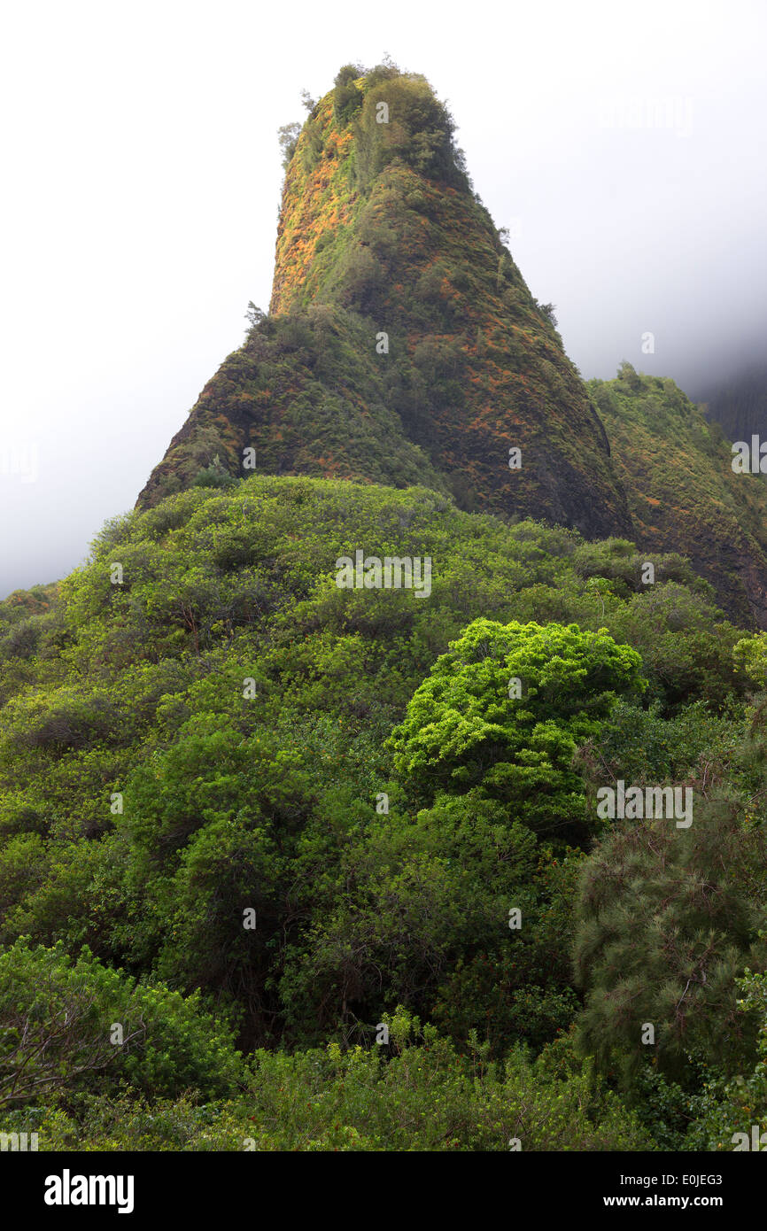 Iao Needle in fog in valley Maui, Hawaii Stock Photo - Alamy
