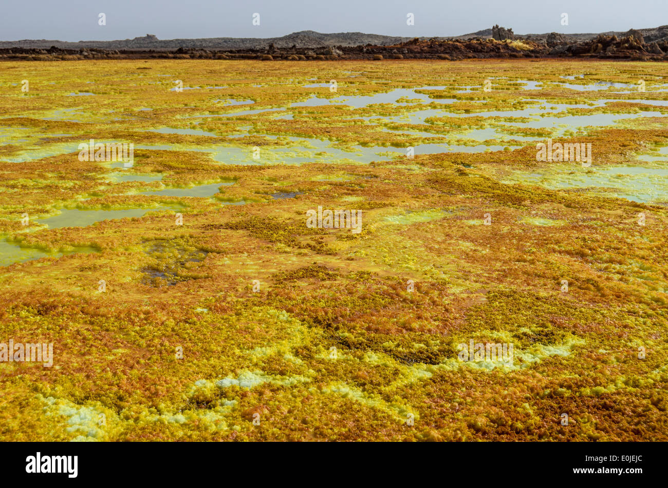 Volcanic Landscape, Dallol, Danakil Desert, Ethiopia, Africa Stock ...