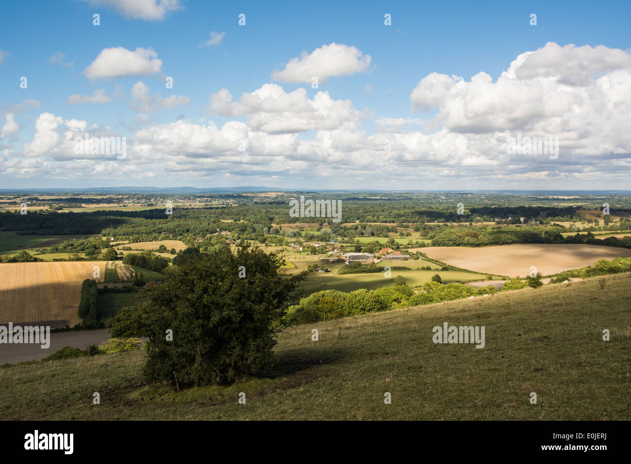 Parham park hi-res stock photography and images - Alamy