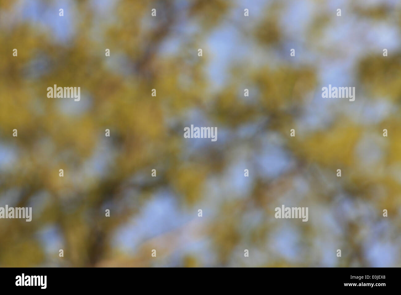 Natural backdrop hi-res stock photography and images - Alamy