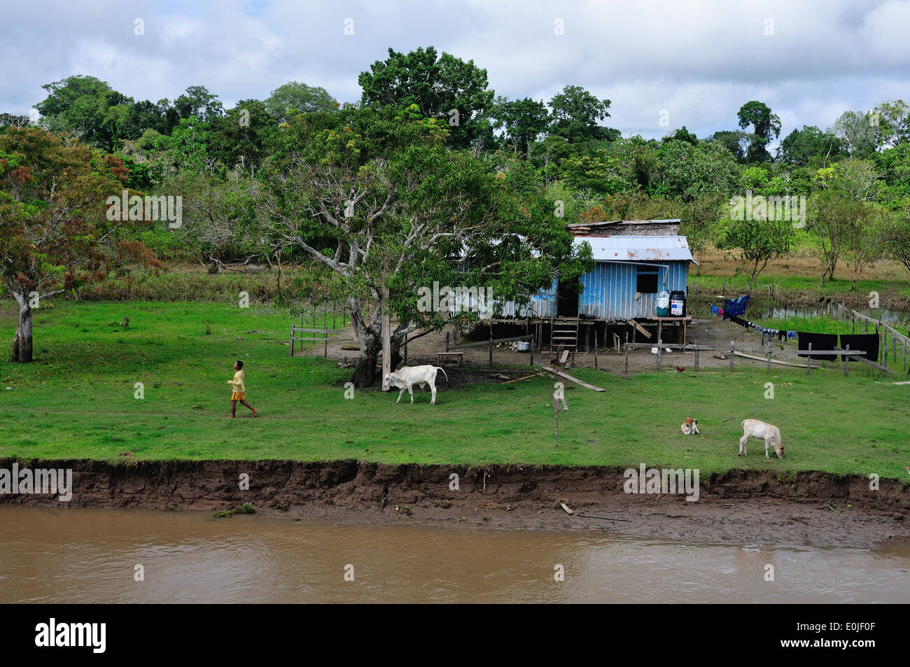 Village on the Amazon River. Department of Loreto .PERU Stock Photo - Alamy