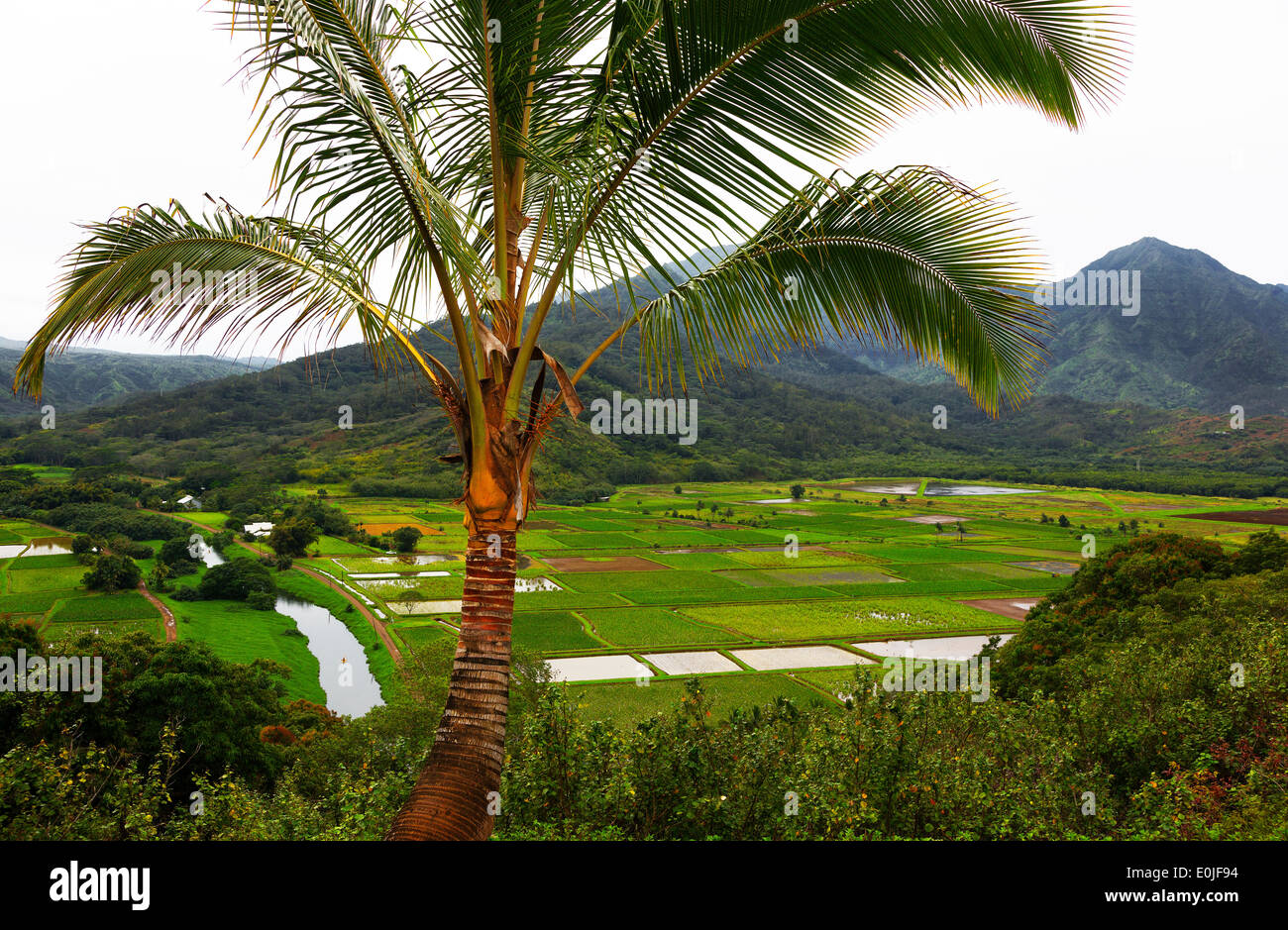 Taro river hi-res stock photography and images - Alamy