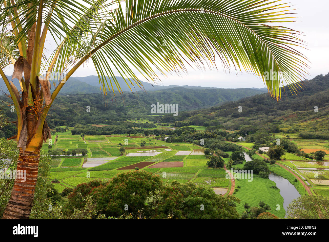 Hanalei valley lookout hi-res stock photography and images - Alamy