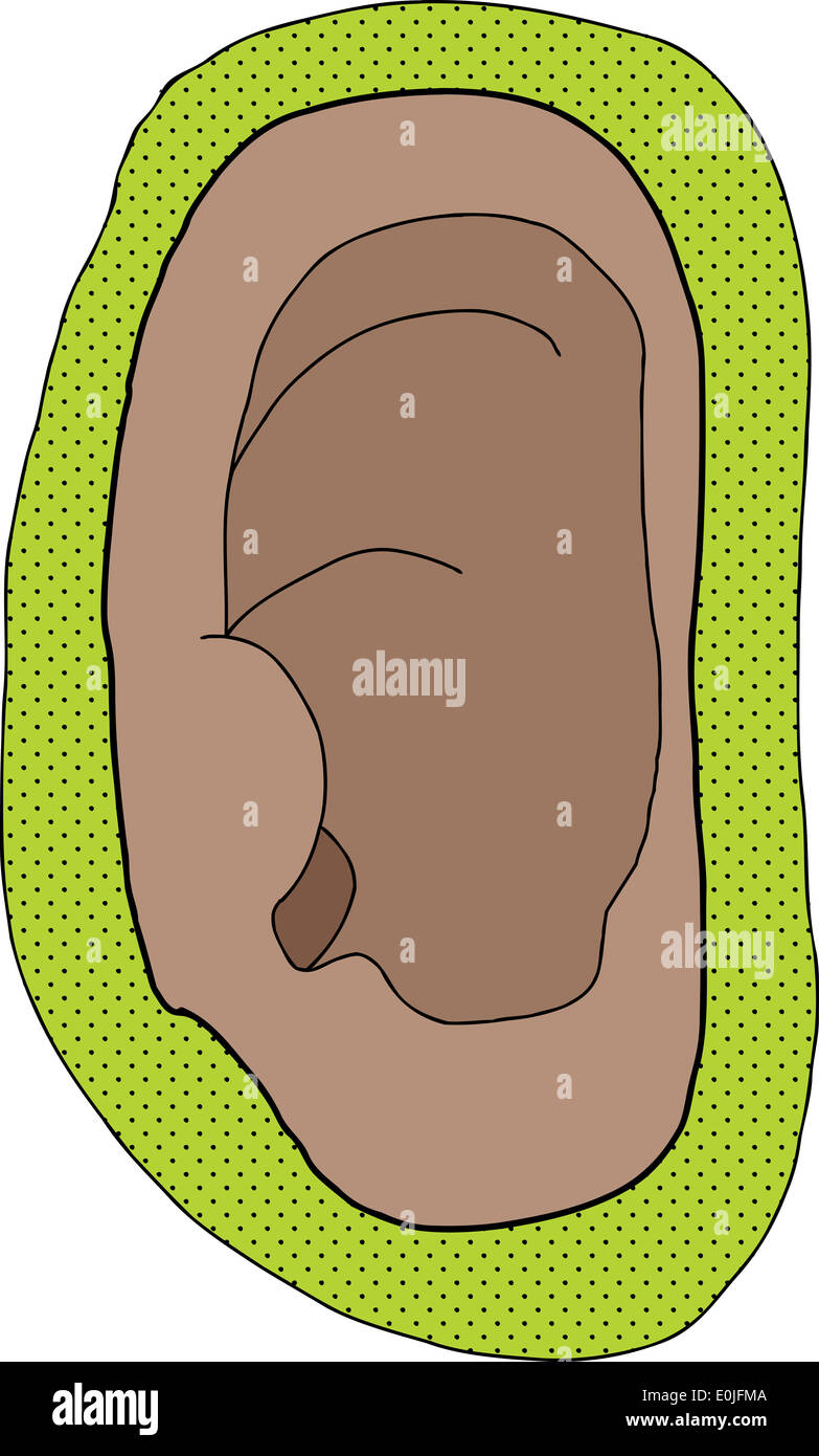 Single ear with green color behind it Stock Photo - Alamy