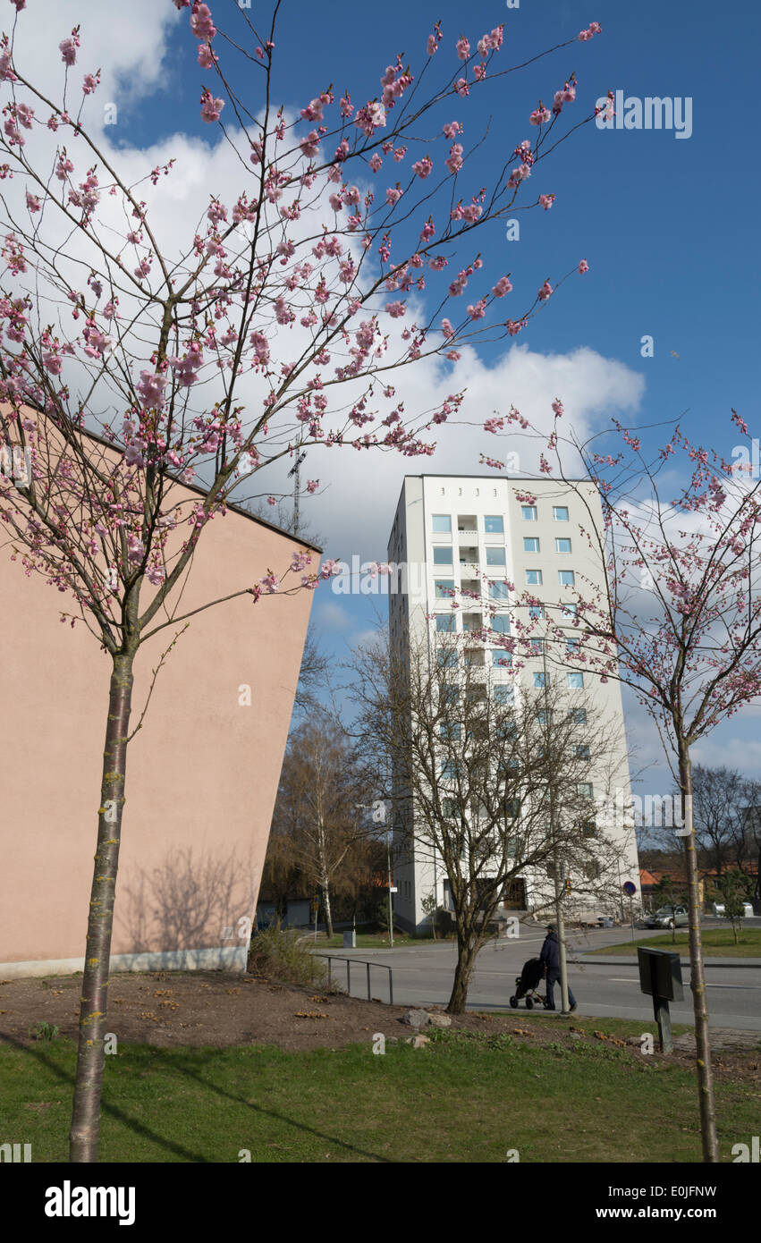 High rise residential architecture, fifties church building and cherry ...