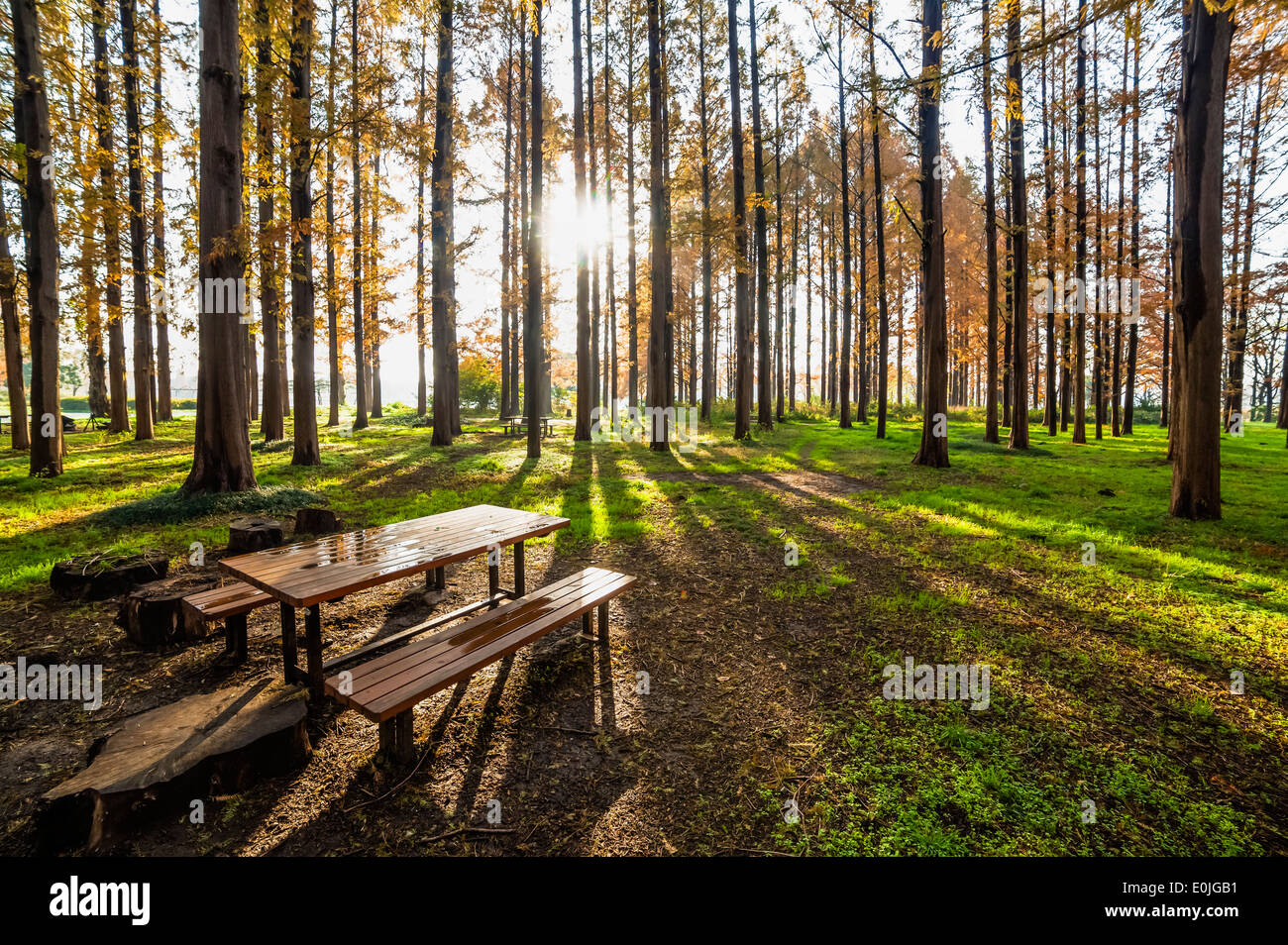 Tokyo japan people not night hi-res stock photography and images - Alamy