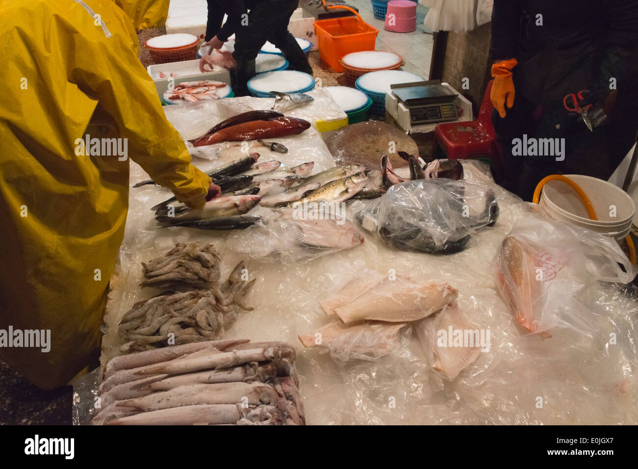 Fish market at Bisha Fishing Port, Keelung, Taiwan Stock Photo - Alamy