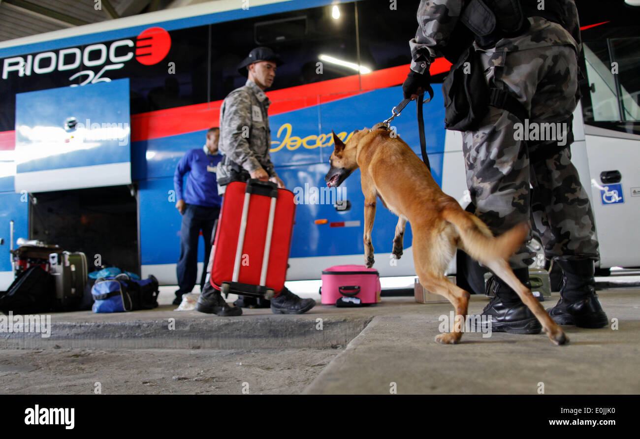Rio De Janeiro, Brazil. 14th May, 2014. A sniffer dog of the Battalion ...