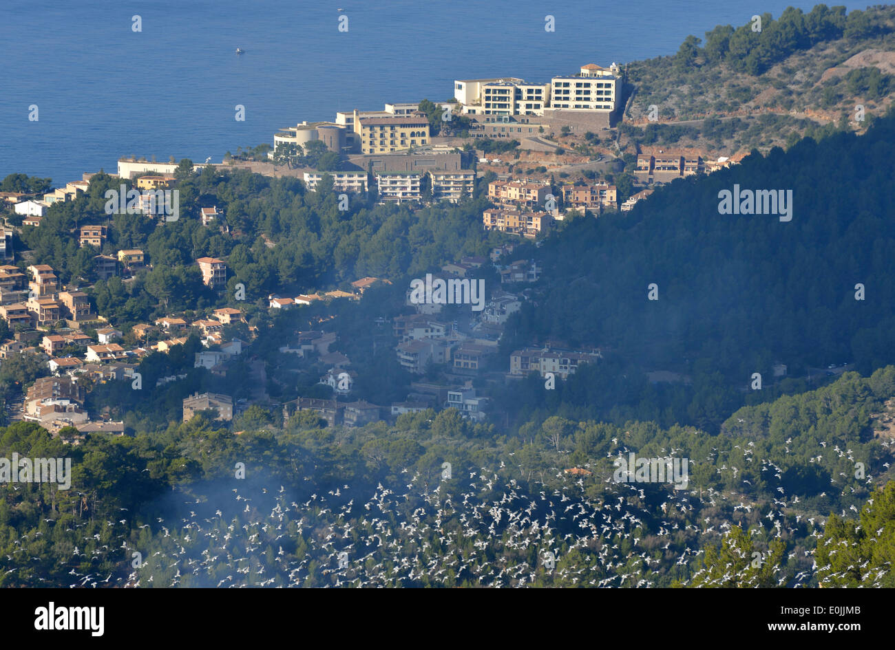 Aerial view of Port de Soller, Majorca, Spain Stock Photo - Alamy