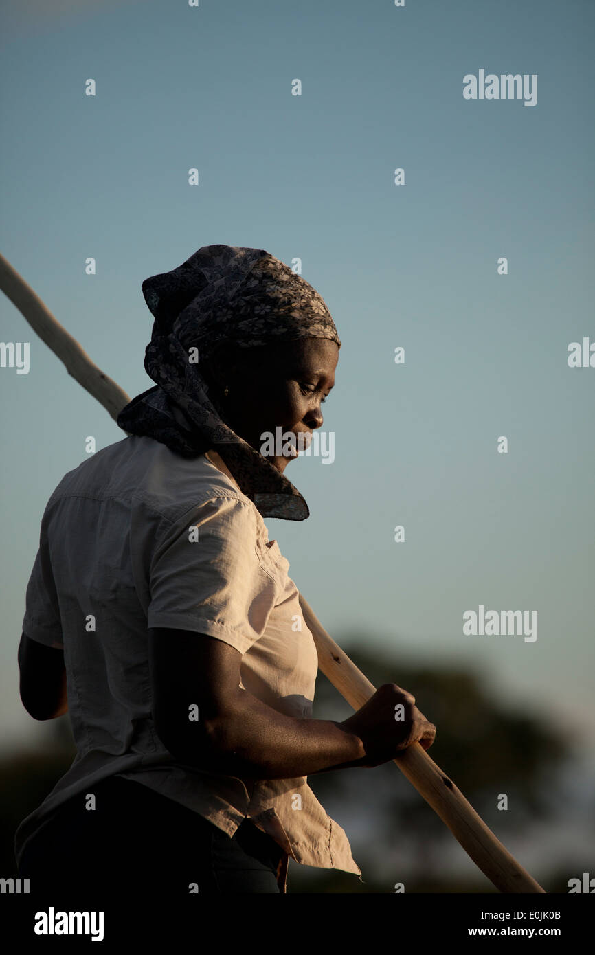 Poler on a traditional mokoro boat in the Okavango Delta, Botswana ...