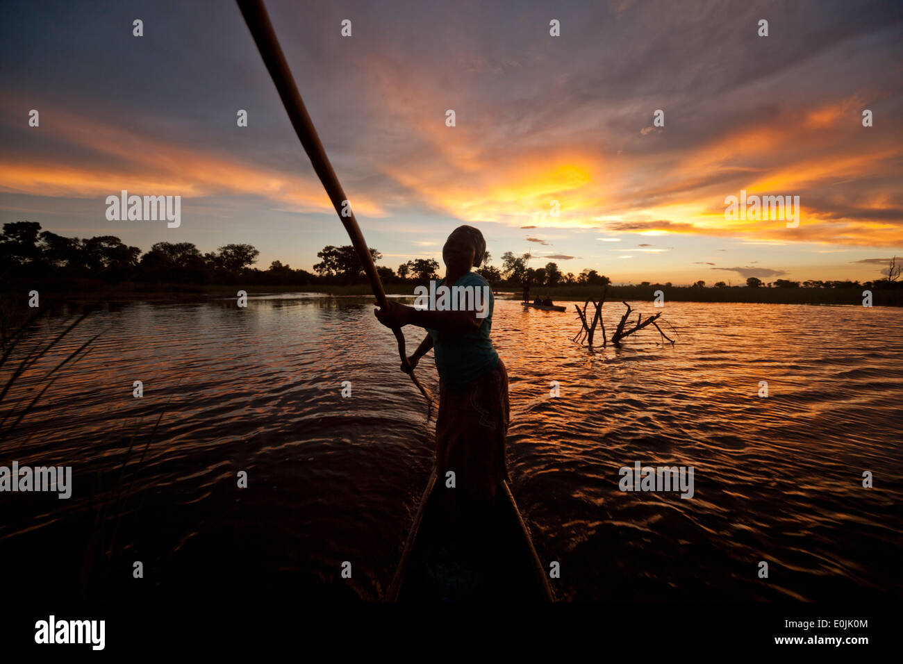 Poler on their traditional mokoro boat in the okavango delta hi-res ...