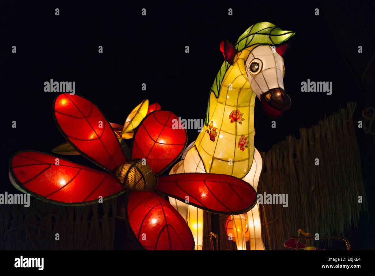 Horse lanterns hi-res stock photography and images - Alamy