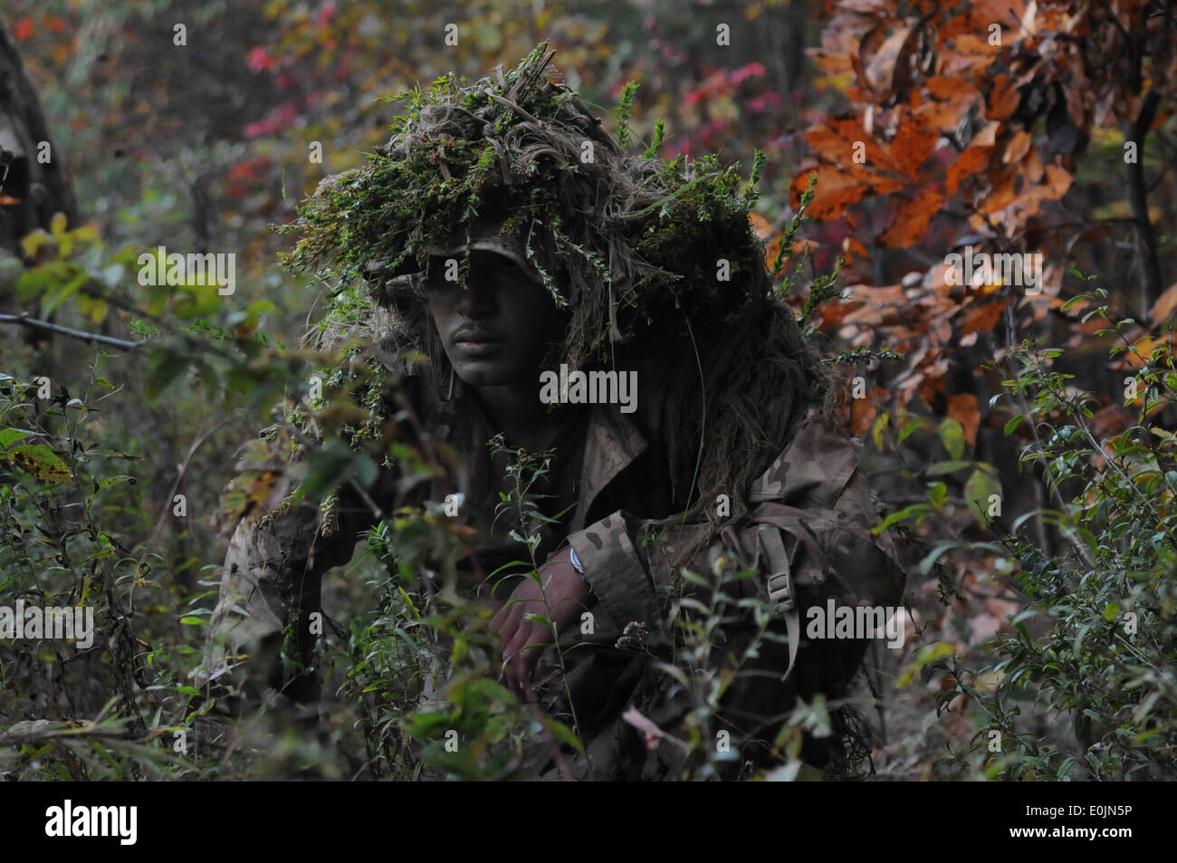 Scout sniper basic course hi-res stock photography and images - Alamy