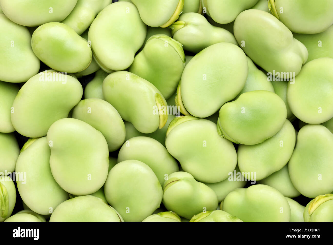 stack of broad beans as background Stock Photo - Alamy