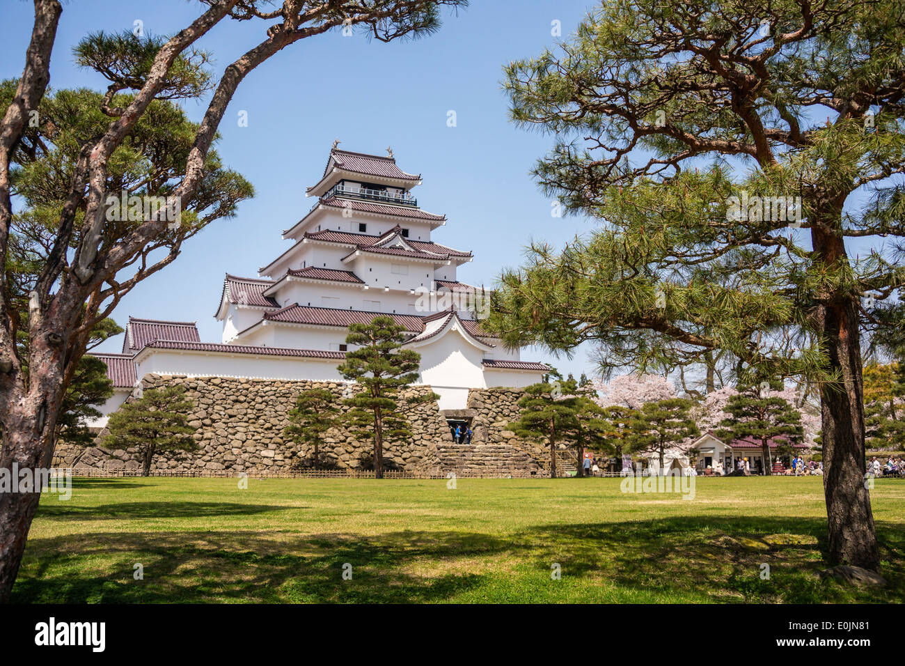 Tsurugajo Castle and cherry trees, Fukushima, Japan Stock Photo - Alamy