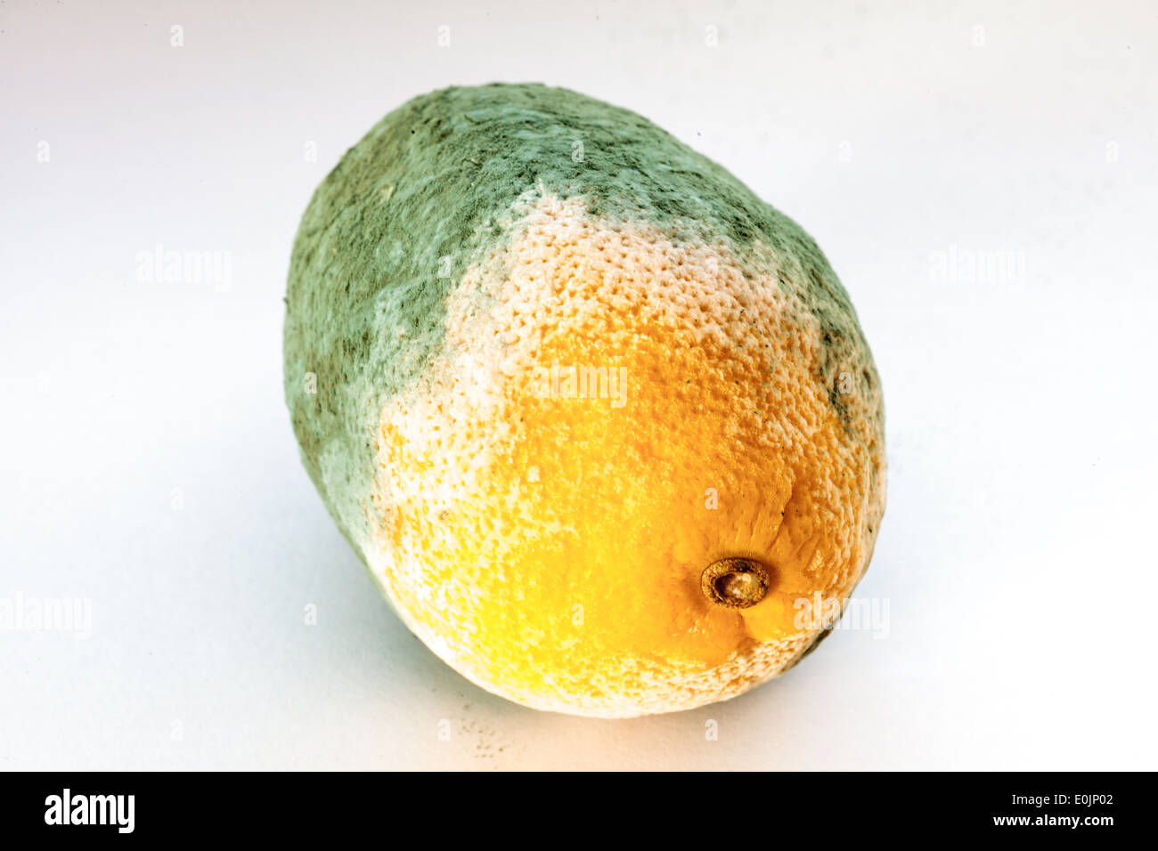 Green moldy lemon citrus fruit isolated. Damaged food Stock Photo - Alamy