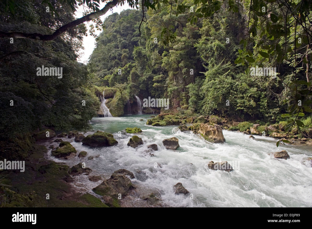 Semuc Champey, in the Alta Verapaz region of Guatemala, consists of a ...