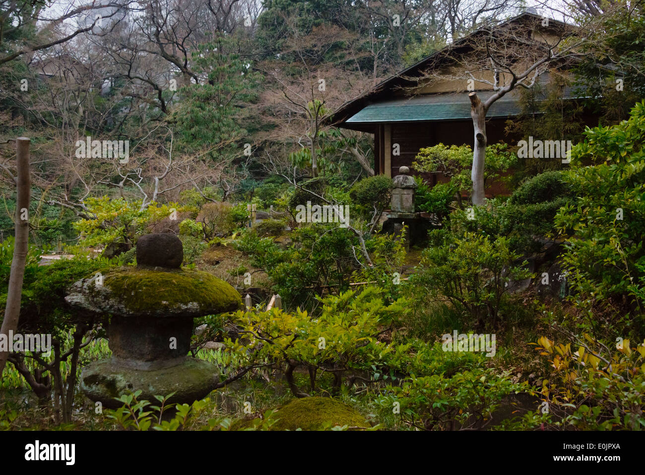 Traditional Japanese garden, Nezu Museum, Tokyo, Japan Stock Photo - Alamy