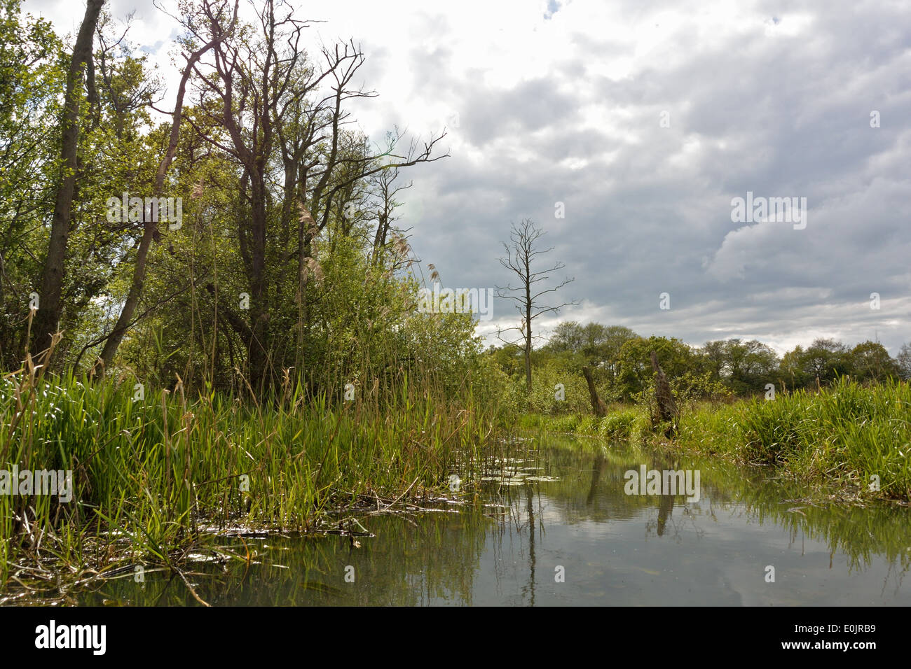 North Walsham and Dilham Canal near Wayford Bridge, Norfolk, Broads ...
