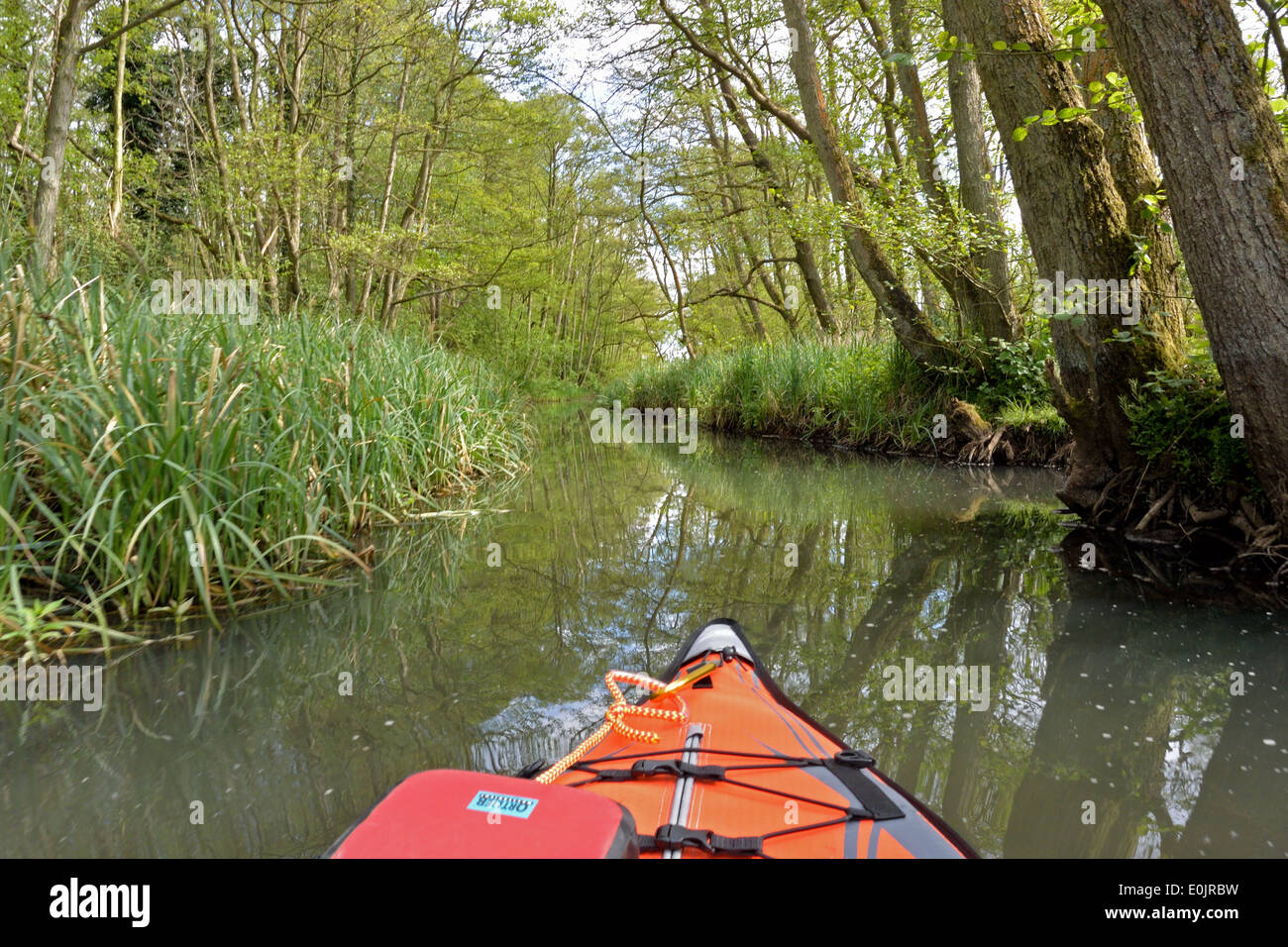 North Walsham and Dilham Canal near Wayford Bridge, Norfolk, Broads ...