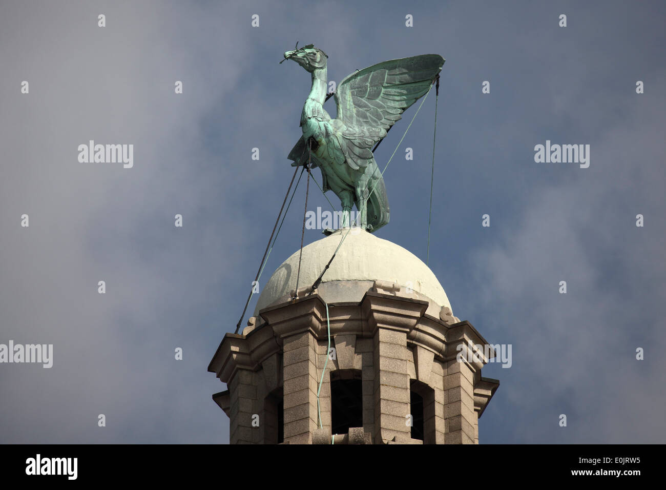 The liver bird hi-res stock photography and images - Alamy