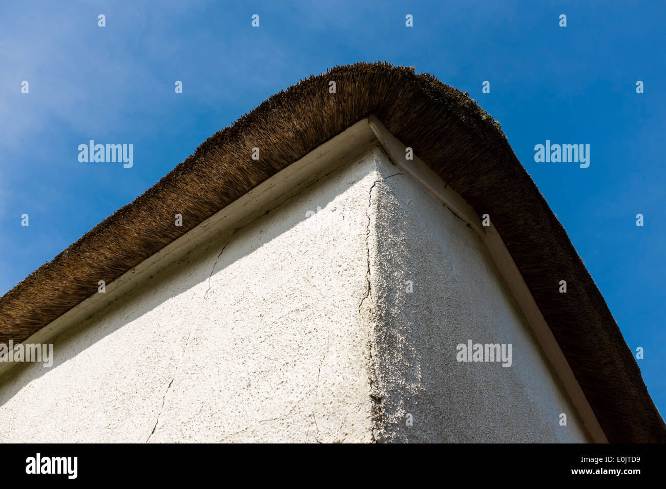 The corner of a thatched roof cottage, in Cheriton Fitzpaine, Devon ...