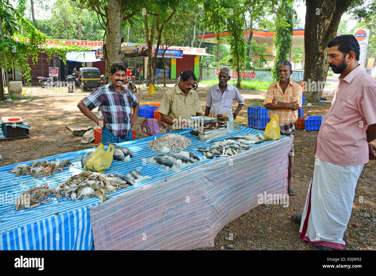 Netholi fish hi-res stock photography and images - Alamy