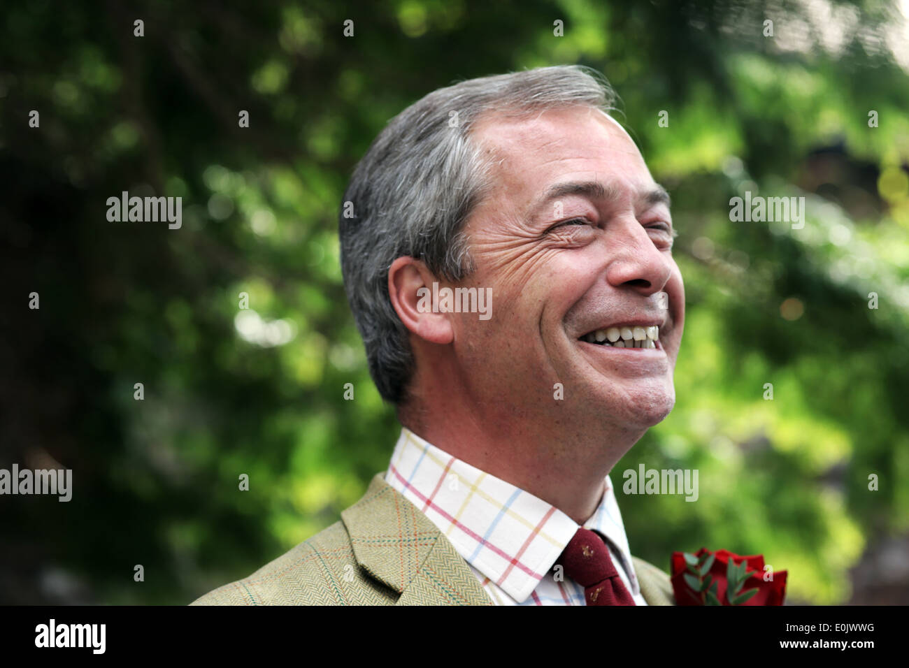 Leader of the UKIP Party, Nigel Farage MEP in the Black Bull pub, Yarm ...